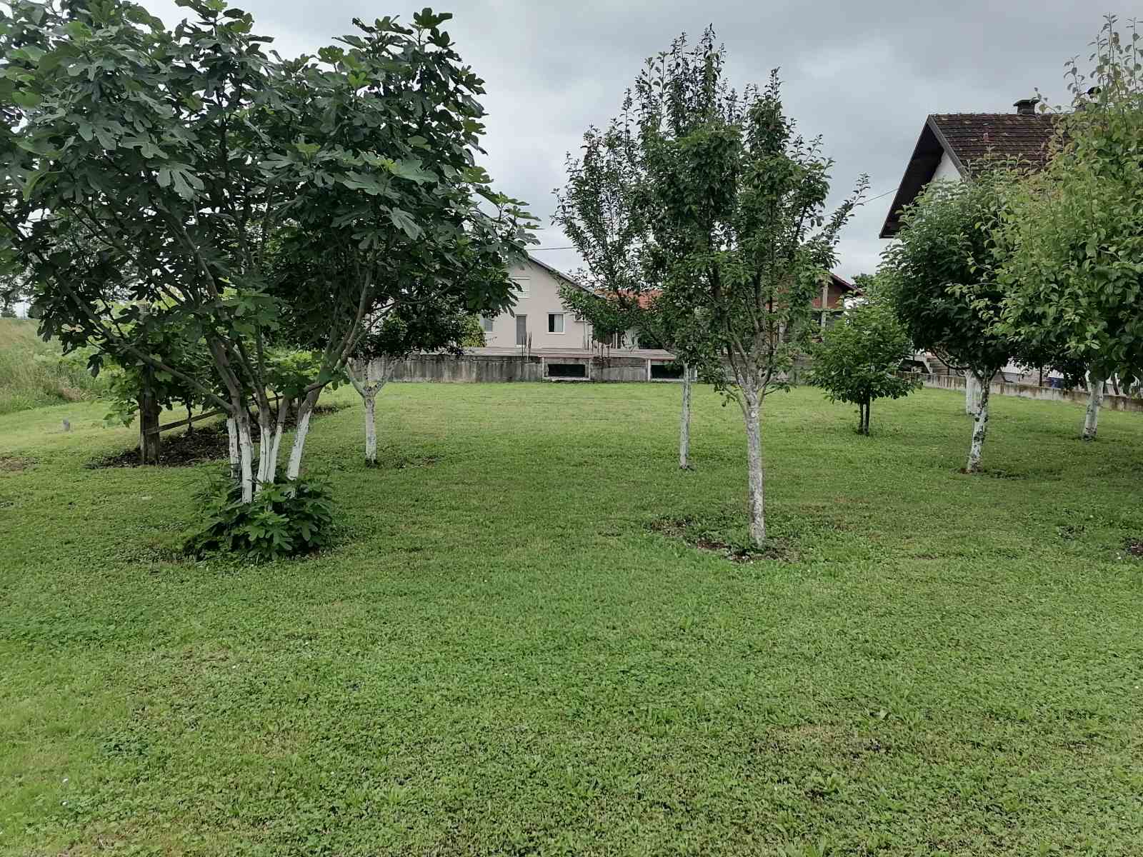 Plac na prodaju - BDBOX