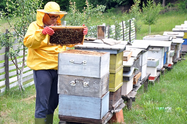 Zdravlje iz košnice: Api-inhal komora porodice Tešić iz Donje Trnove